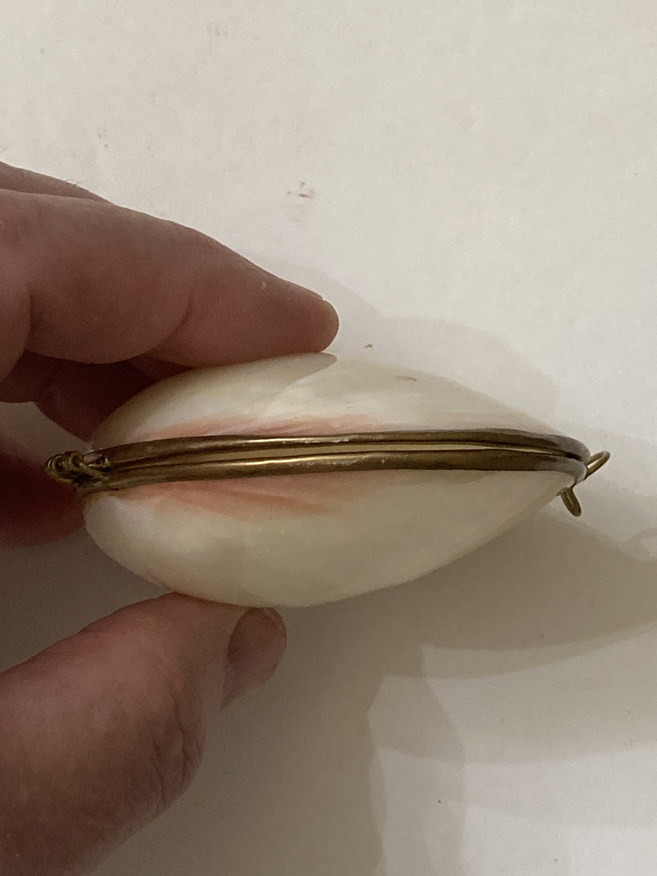 Vintage & Unique Natural Sea Shell Powder Compact With - Etsy