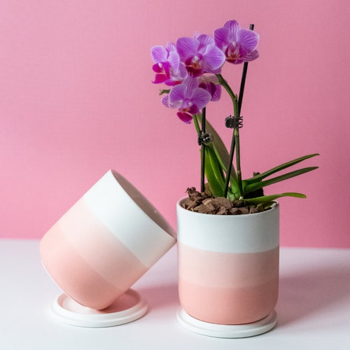 Handmade Ombre Matte Ceramic Plant Pot Cute Pencil Holder - Etsy