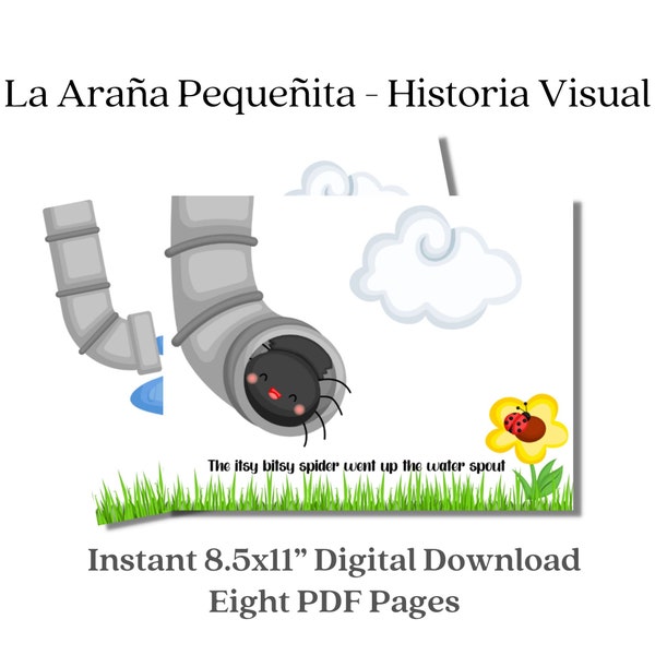 Itsy Bitsy Araña - Etsy