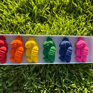 Colorful Parrot Shaped Crayons - Fun Art Supplies for Kids - Etsy