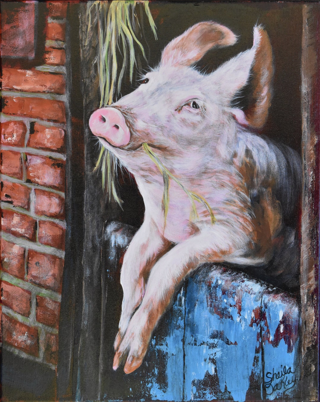 Country Pig Original Giclee Fine Art Stretched Canvas Print - Etsy