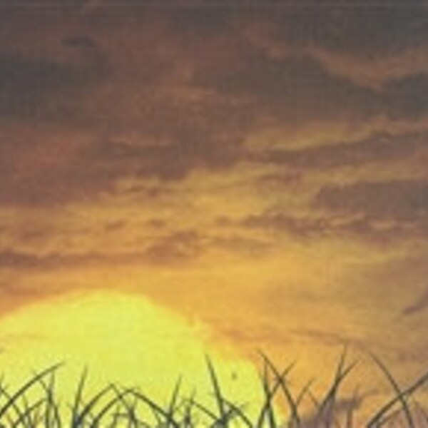 Sunset Fabric - Etsy