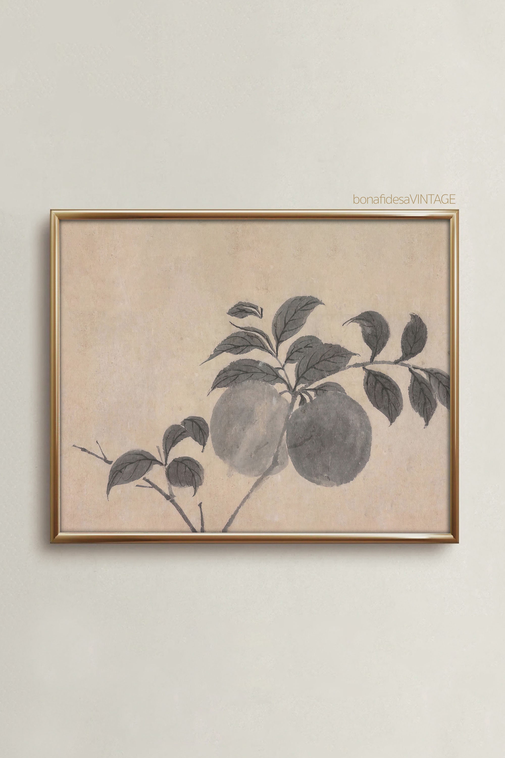For a Kitchen Decor, Antique Print of Inked Branches, Vintage Botanical ...
