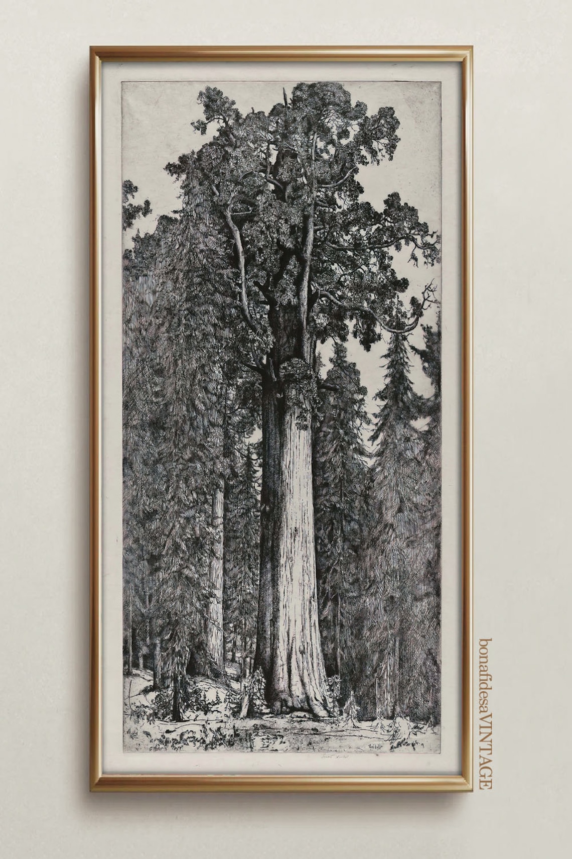 Antique Print of an Oak Tree, Printable Antique Tree Artwork, Oak Wall ...