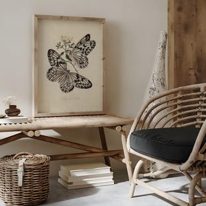 Vintage Butterfly Print - Papilio Idea Illustration, Botanical Natural ...