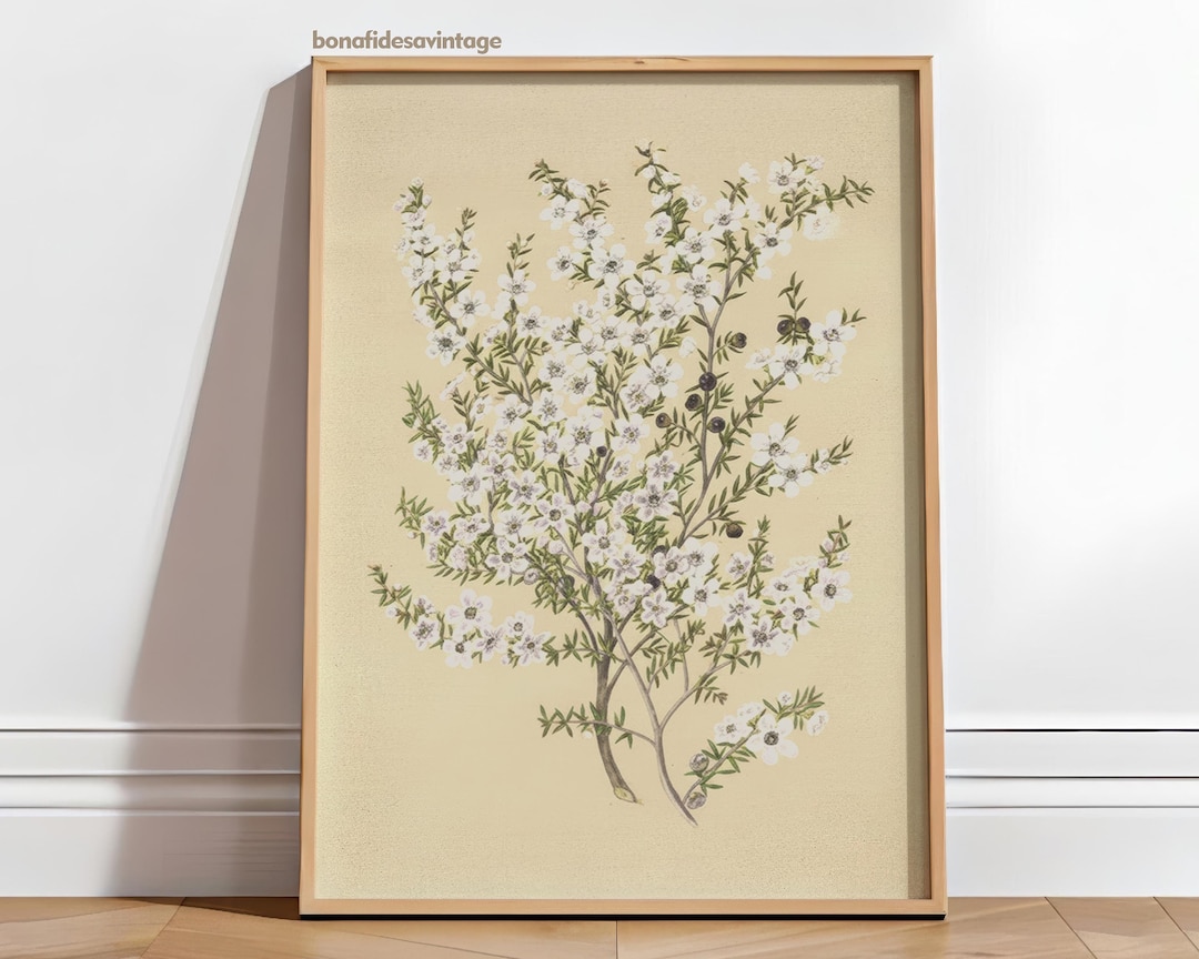 Vintage Flower Drawing / Printable Wall Art / Digital Download Art ...
