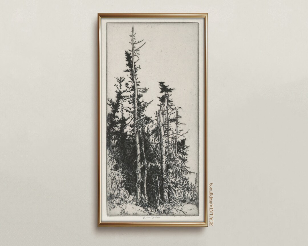 Vintage Tree Print, Antique Botanical Drawing, Printable Tree Wall Art ...