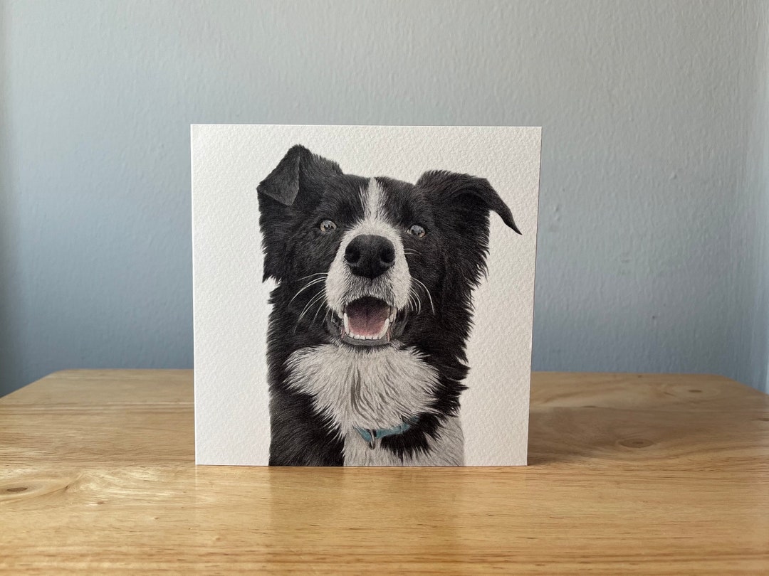 Border Collie Card / Collie Greeting Card / Puppy Greeting Card ...