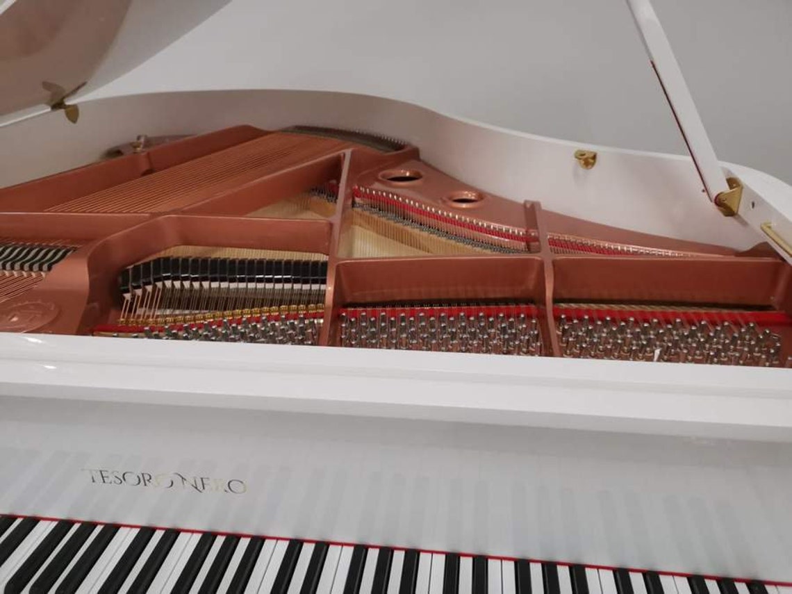 Selfplaying Grand Piano - Etsy