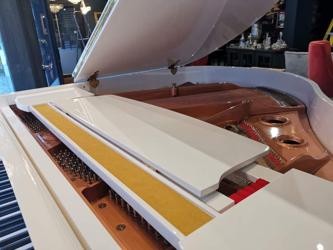 Selfplaying Grand Piano - Etsy