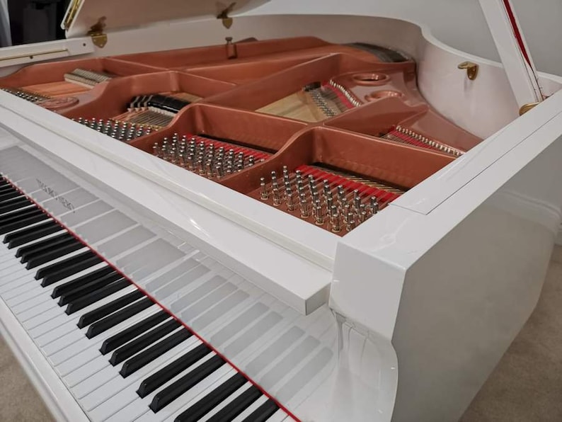 Selfplaying Grand Piano - Etsy