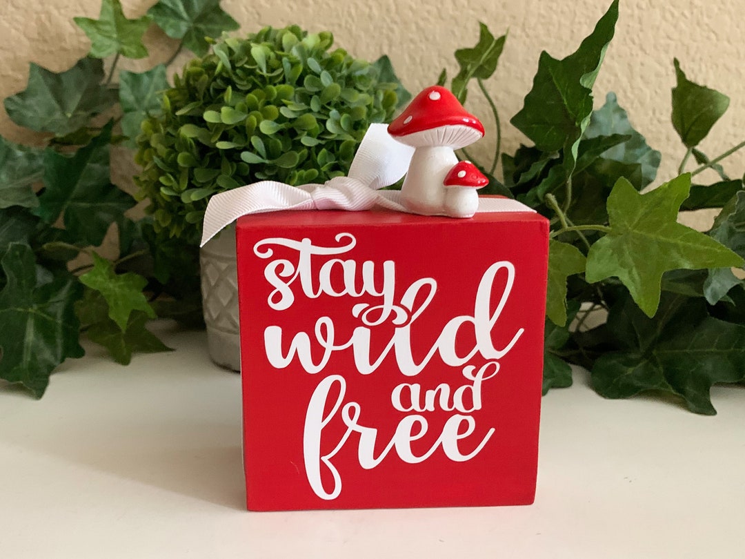 Stay Wild and Free, 4"x5" Decorated Wood Box Sign, Shelf & Wall Decor ...