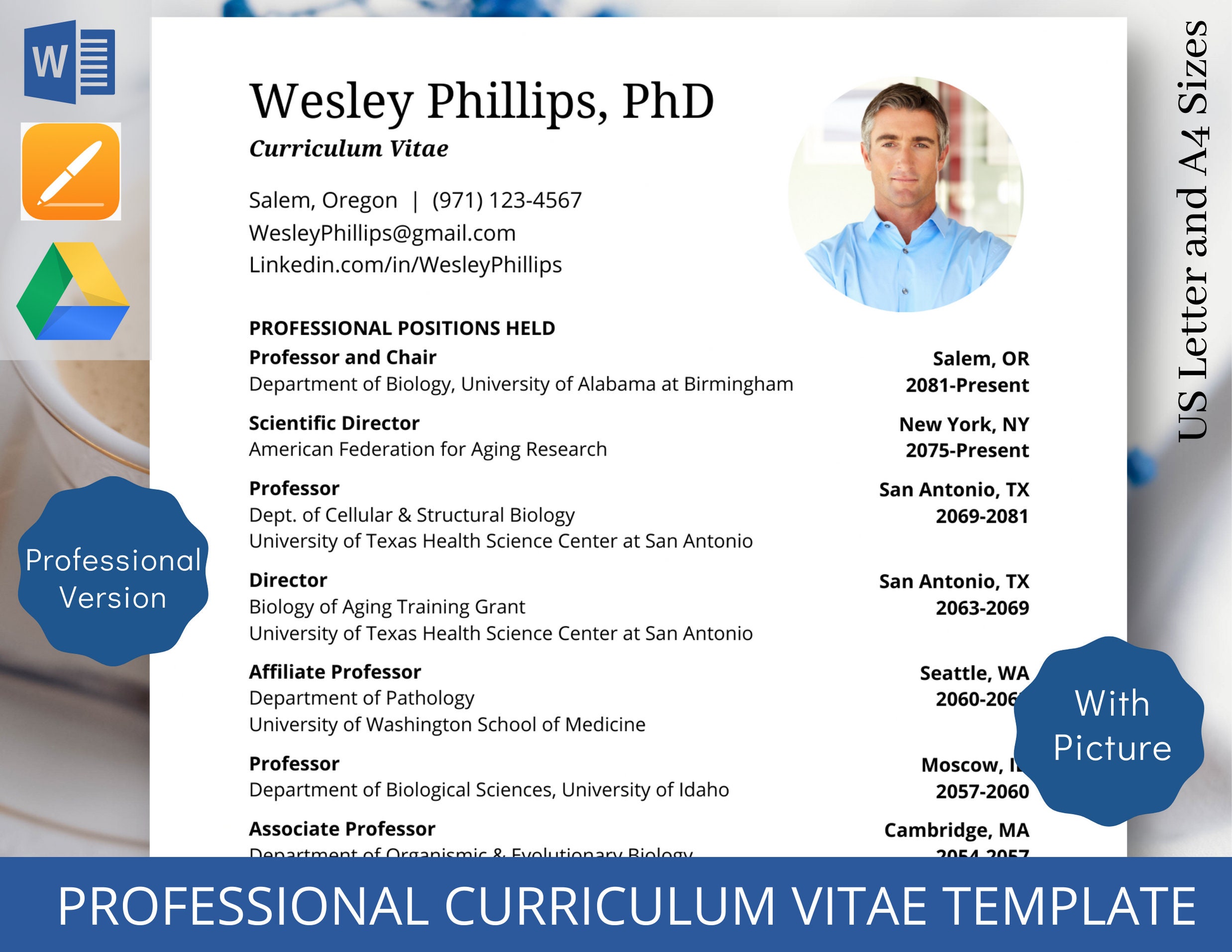 Professional Curriculum Vitae Template for Job Application Picture CV ...