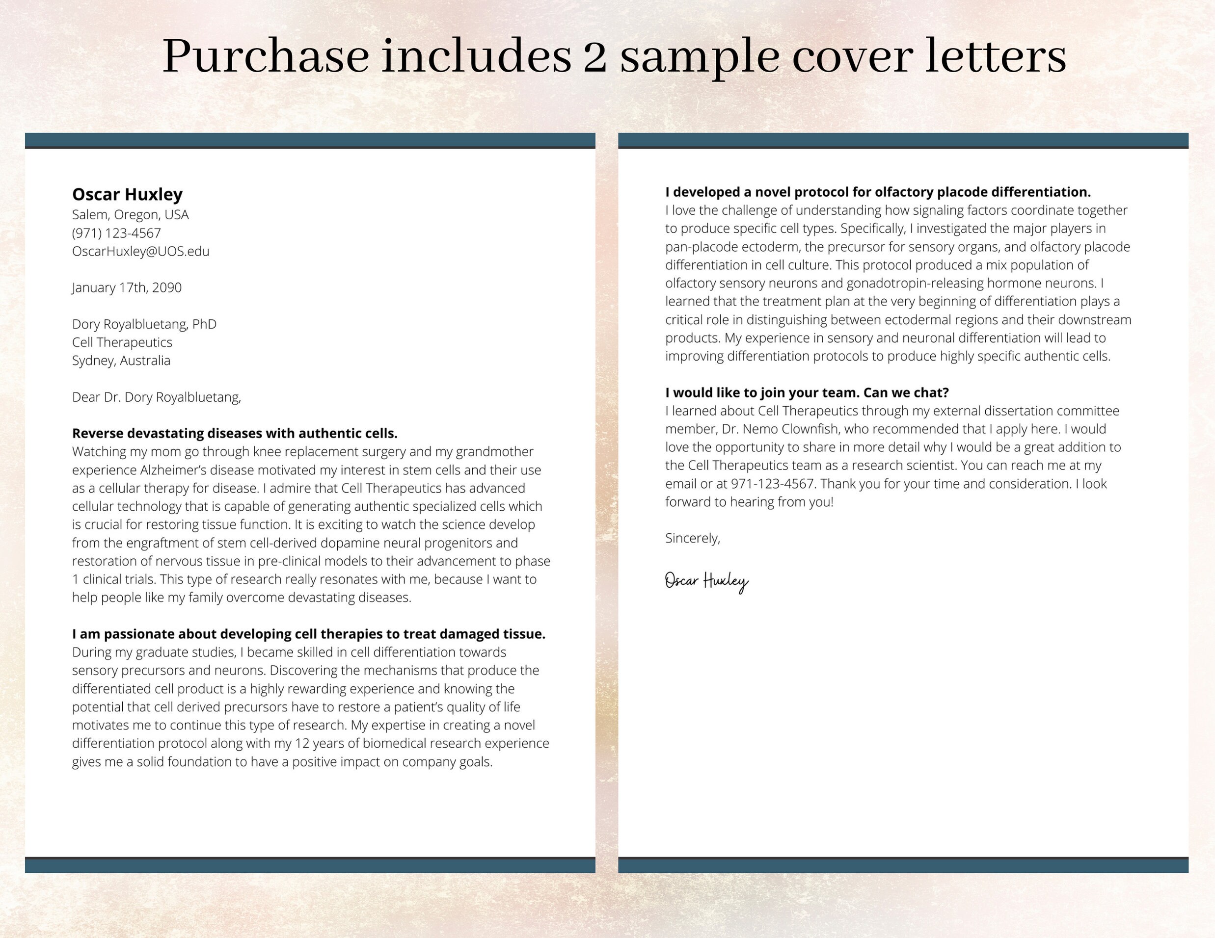 Best Resume Template With Picture and Professional Cover Letter ...