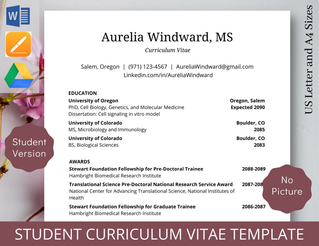 Student Curriculum Vitae Template Simple CV Template for Job ...