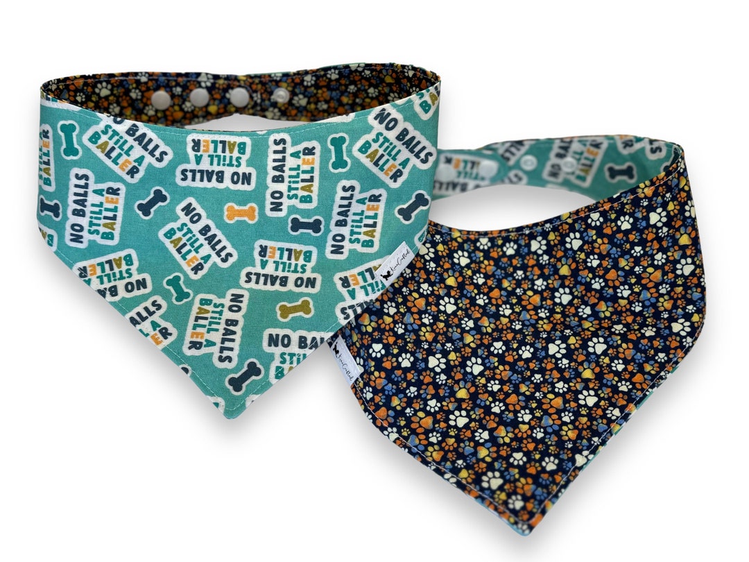 No Balls Still a Baller Dog Bandana | Reversible Snap on Dog Bandana ...