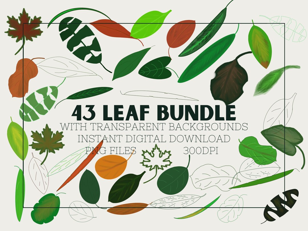 43 Autumn Leaves, Leaf Designs, Hand Drawn Leaves Clipart, Foliage ...