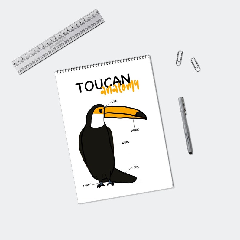 Toucan Anatomy Educational Printable | Etsy Australia