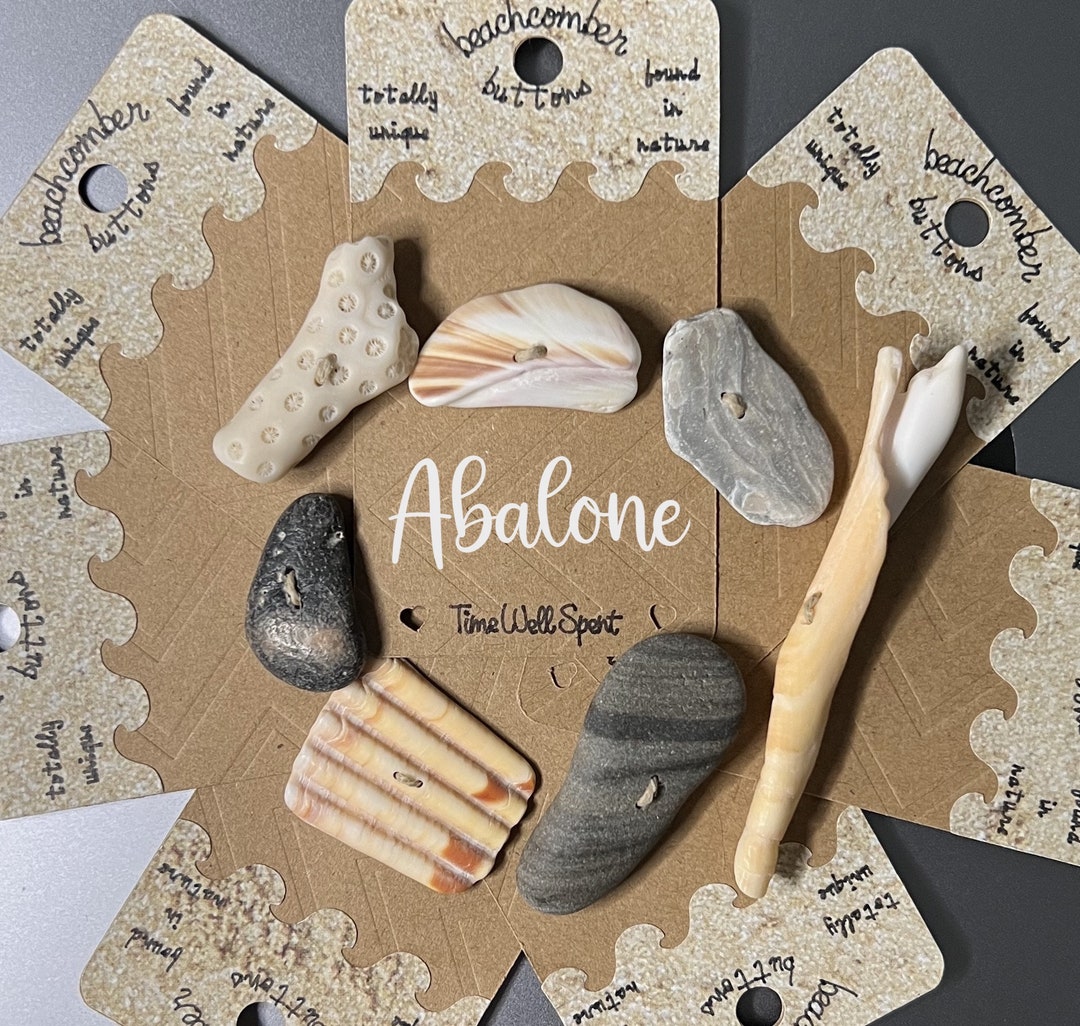 Seashell Buttons: One-of-a-kind Seashore Finds - Etsy