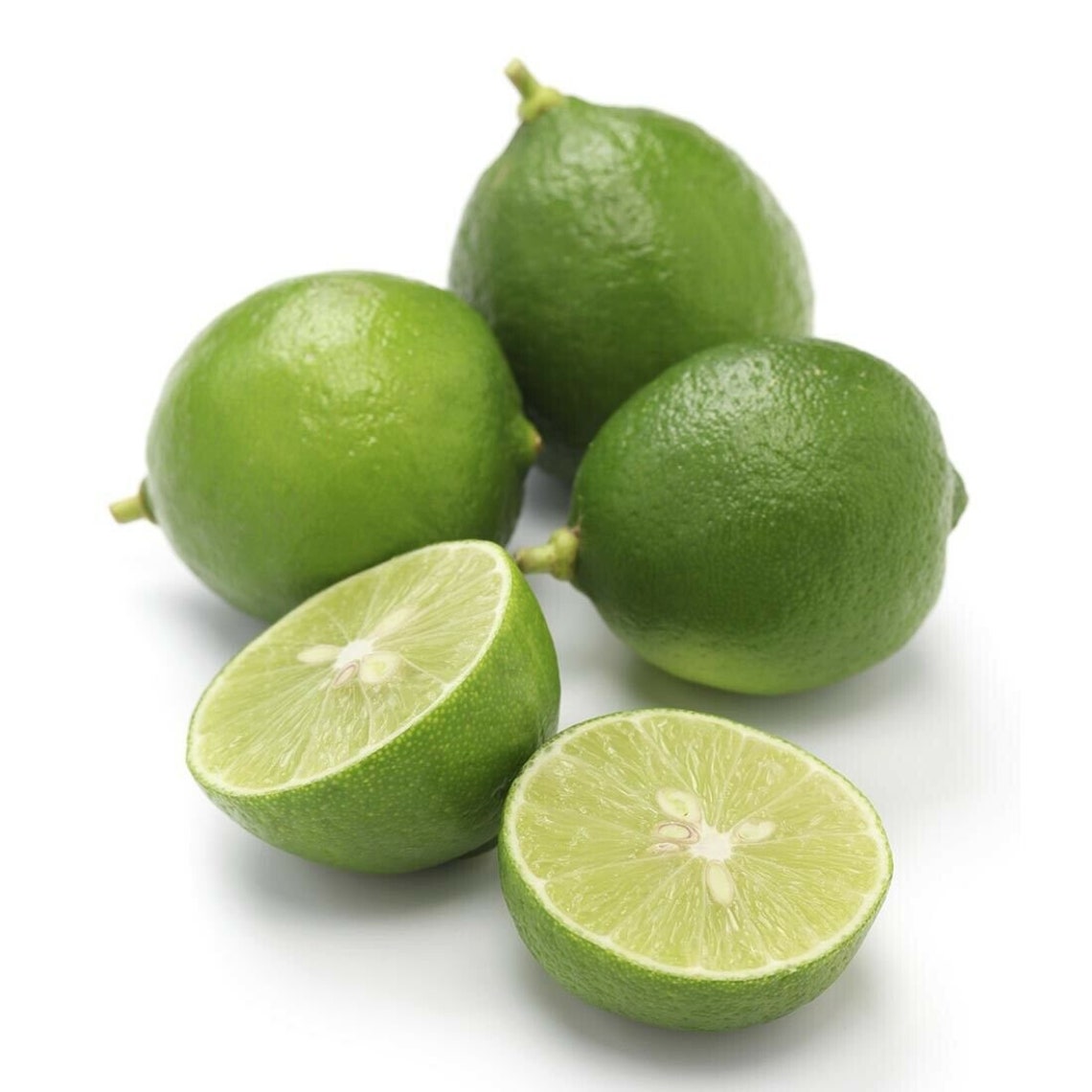 Thornless Mexican Key Lime Tree 26-30 Tall Gallon - Etsy