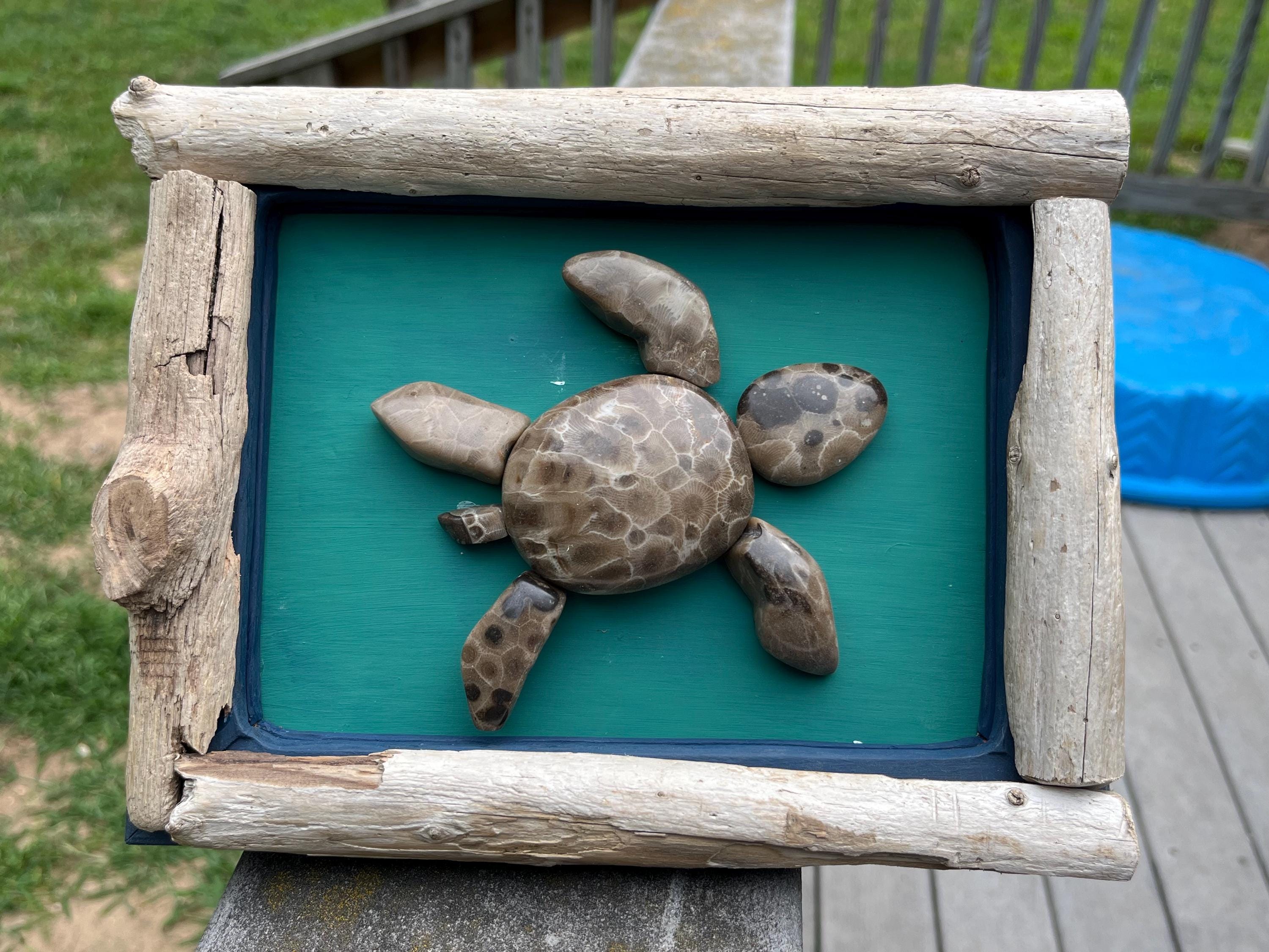 Petoskey Stone Turtle - Etsy