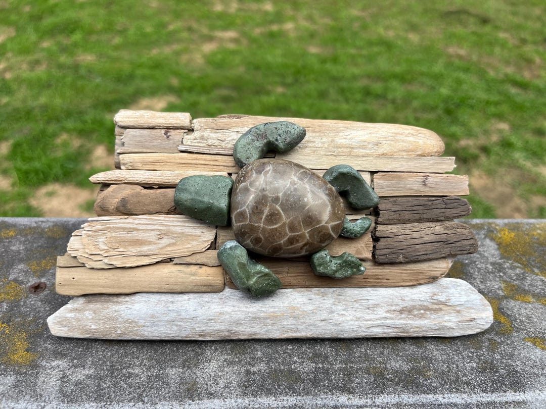 Petoskey Stone Turtle - Etsy