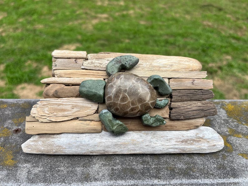 Petoskey Stone Turtle - Etsy