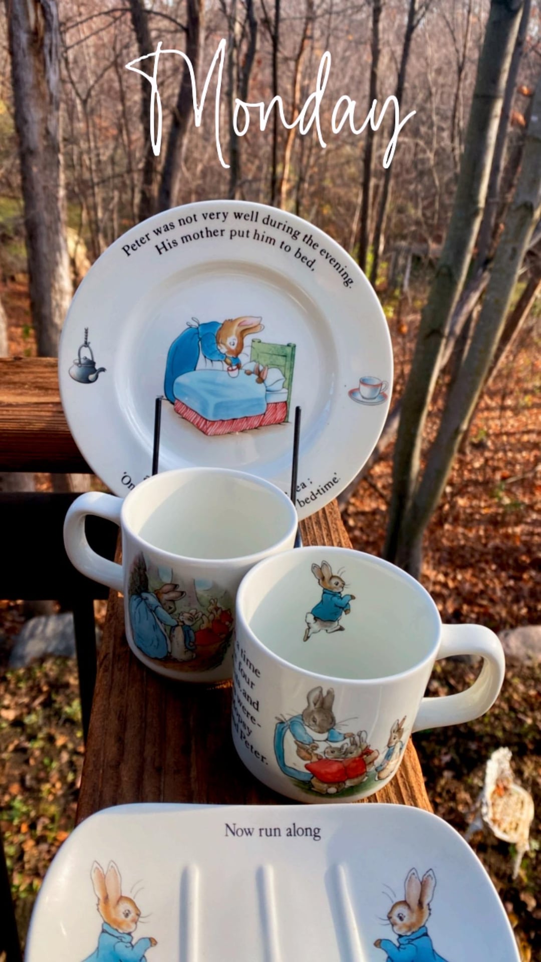 Beatrix Potter, Peter Rabbit Double Bathroom Set for Kids Bathrooms ...