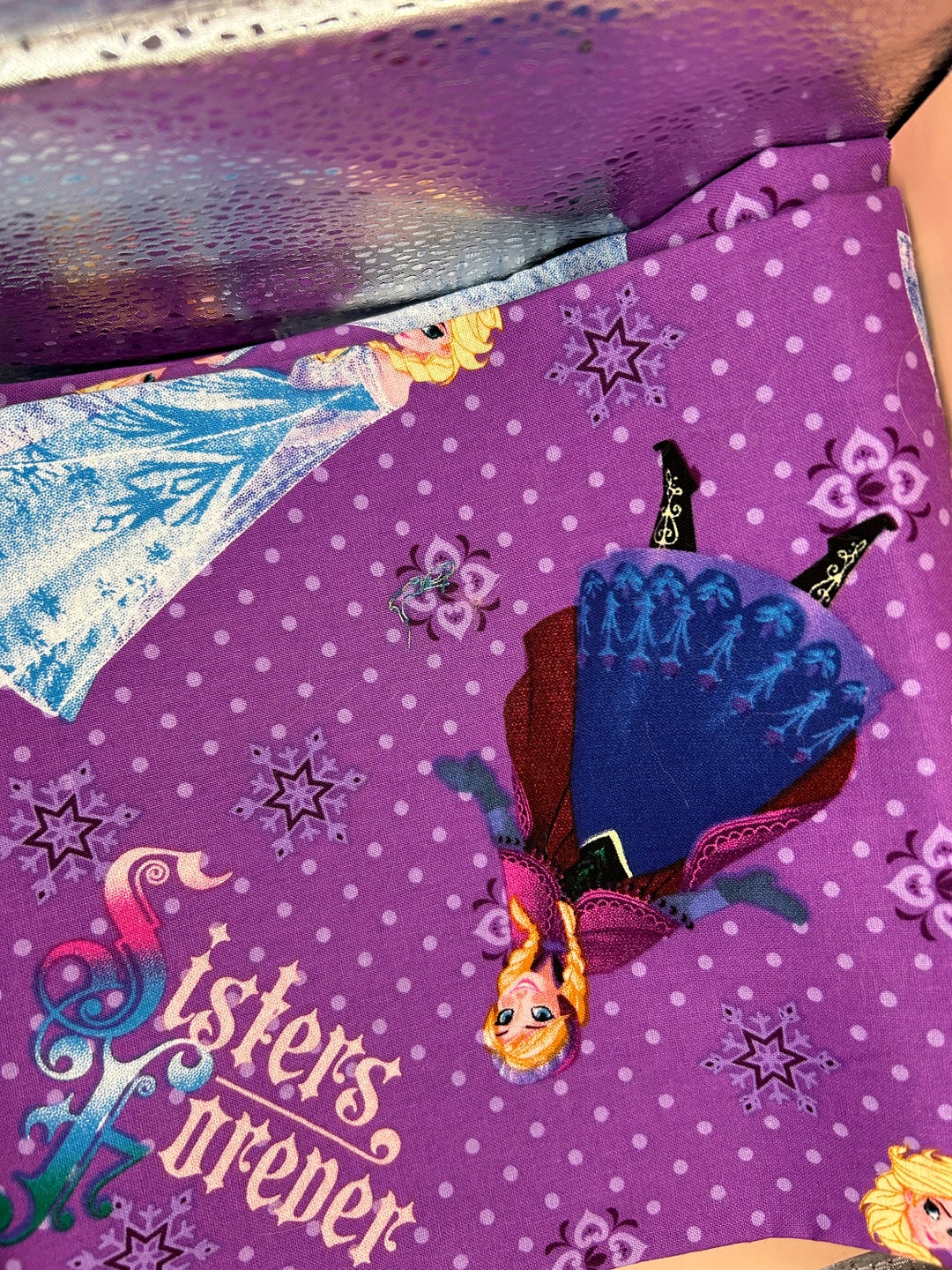 Disney FROZEN Elsa & Anna sisters Forever - Etsy