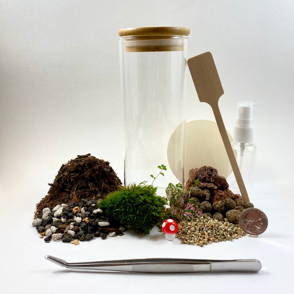 Desktop Terrarium - Etsy