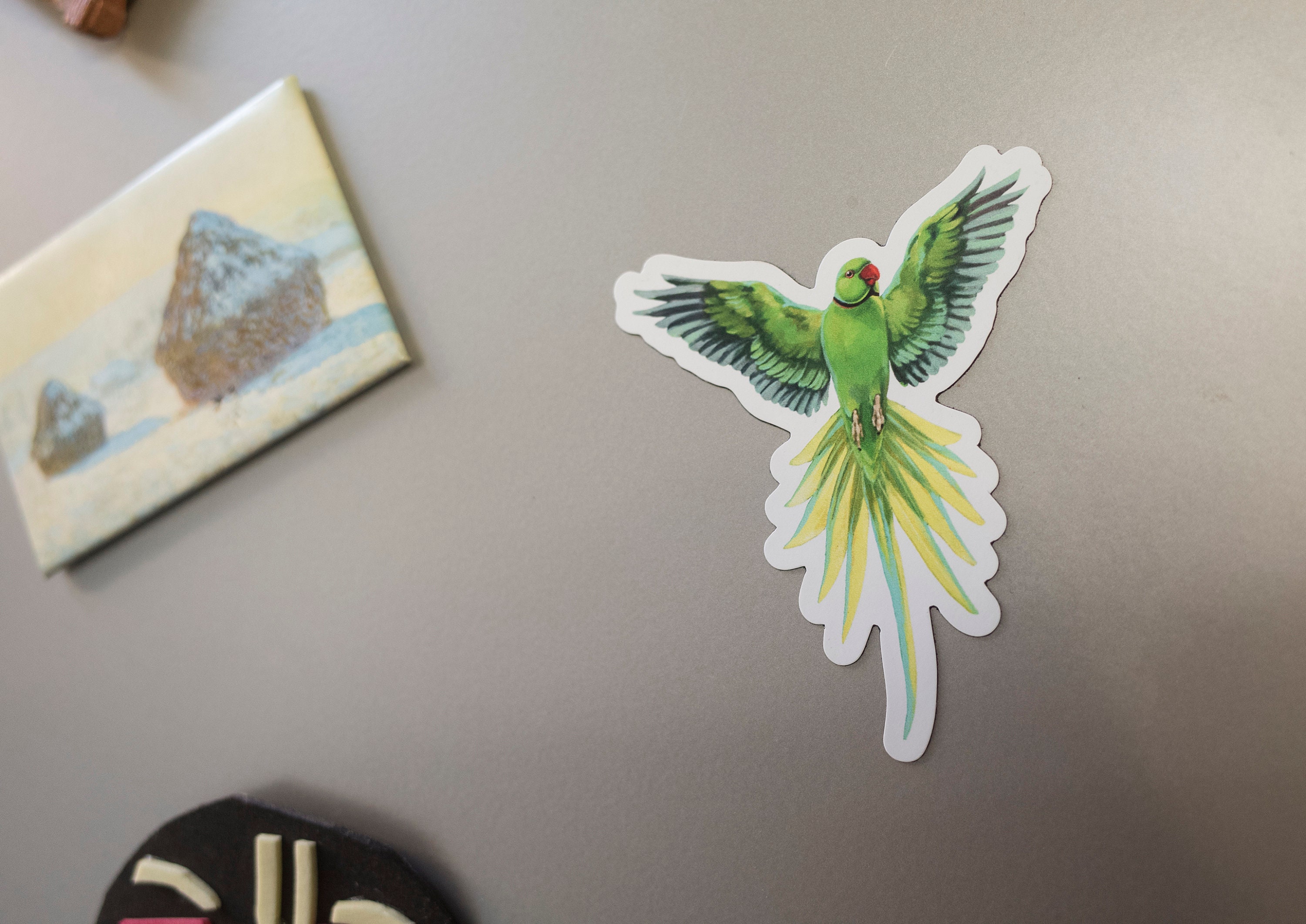 SET of 2 Ringneck Parrots Fridge Magnet Parrot Radhe Gendron Art Free ...