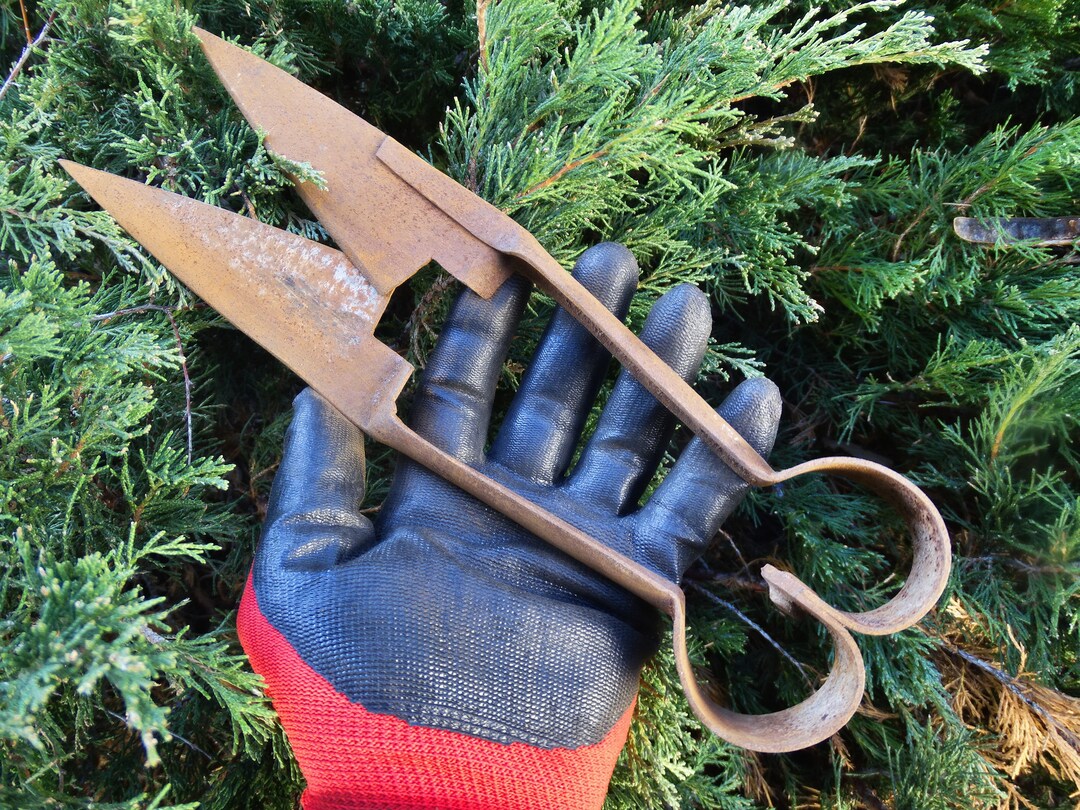 Antique Scissors, Primitive Sheep Shearing Shears ,large Shepherd's ...