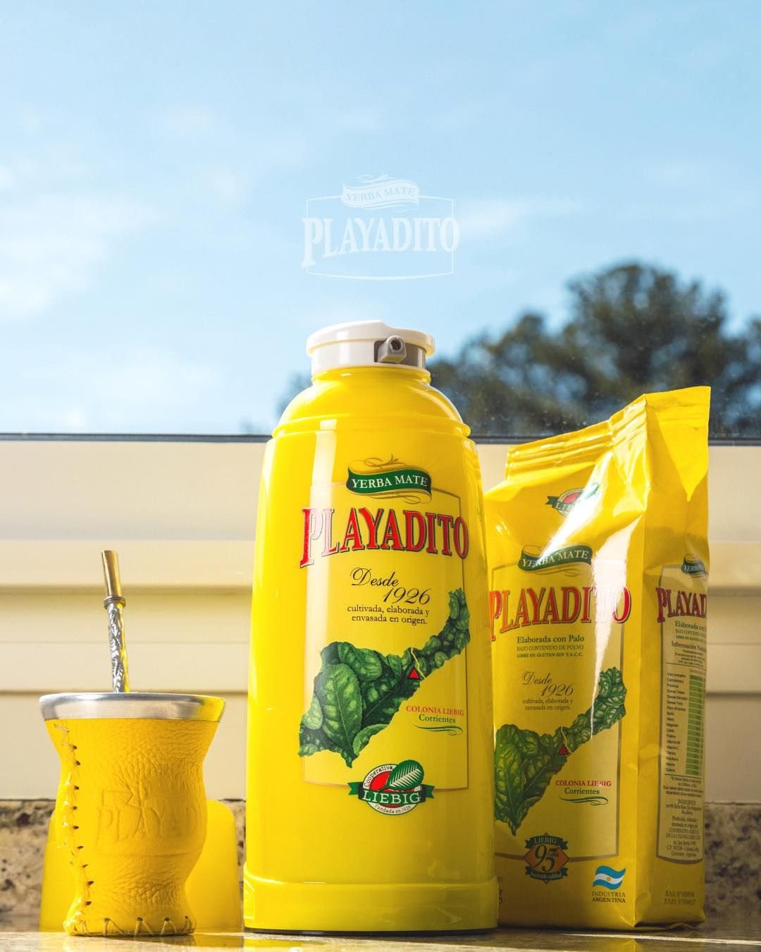 Playadito Yerba Mate 1kg Natural Loose-leaf Tea/health Argentine Drink ...