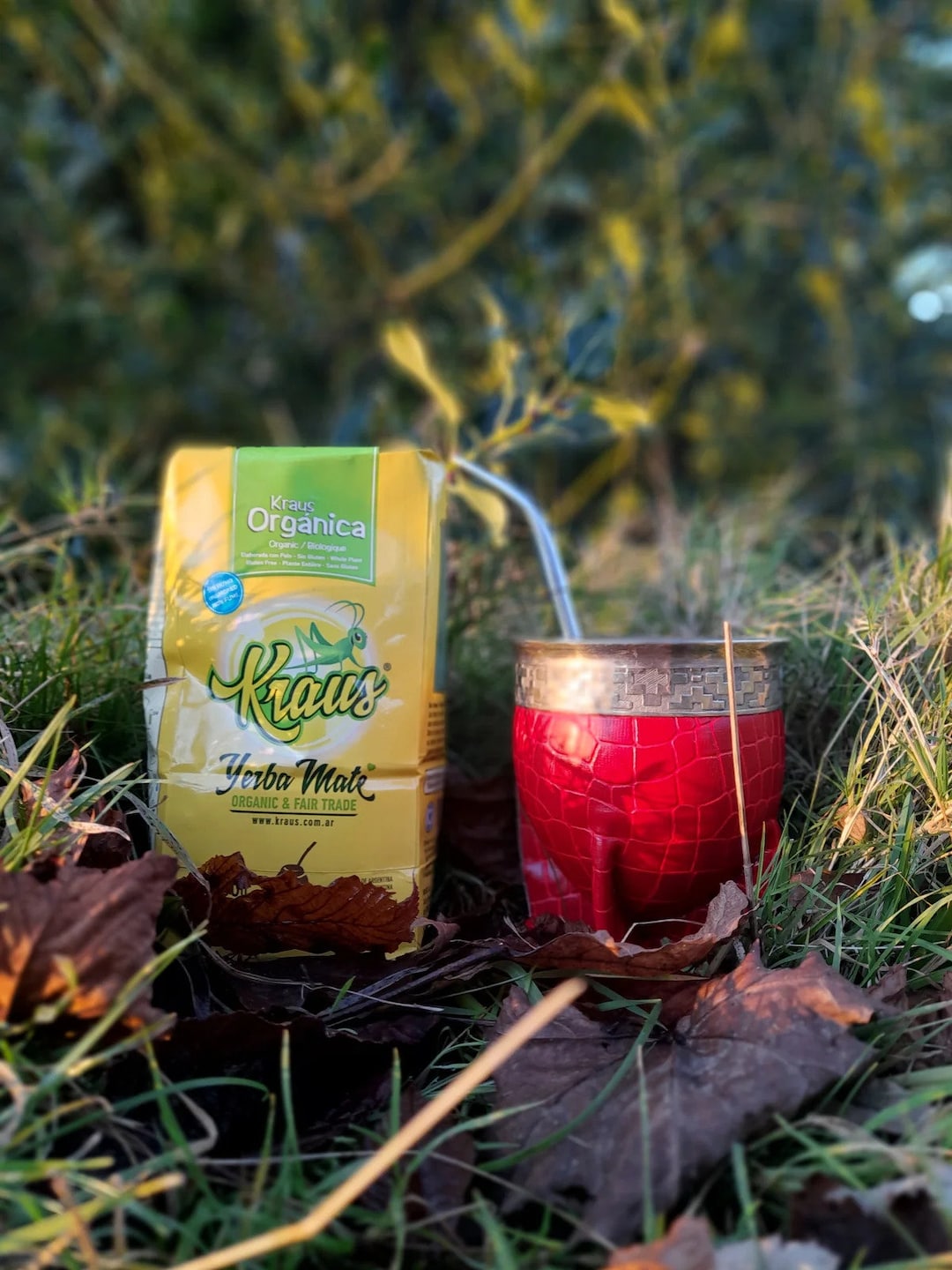 Kraus Yerba Mate (500g), Organic Natural Loose-leaf Argentine Tea With ...