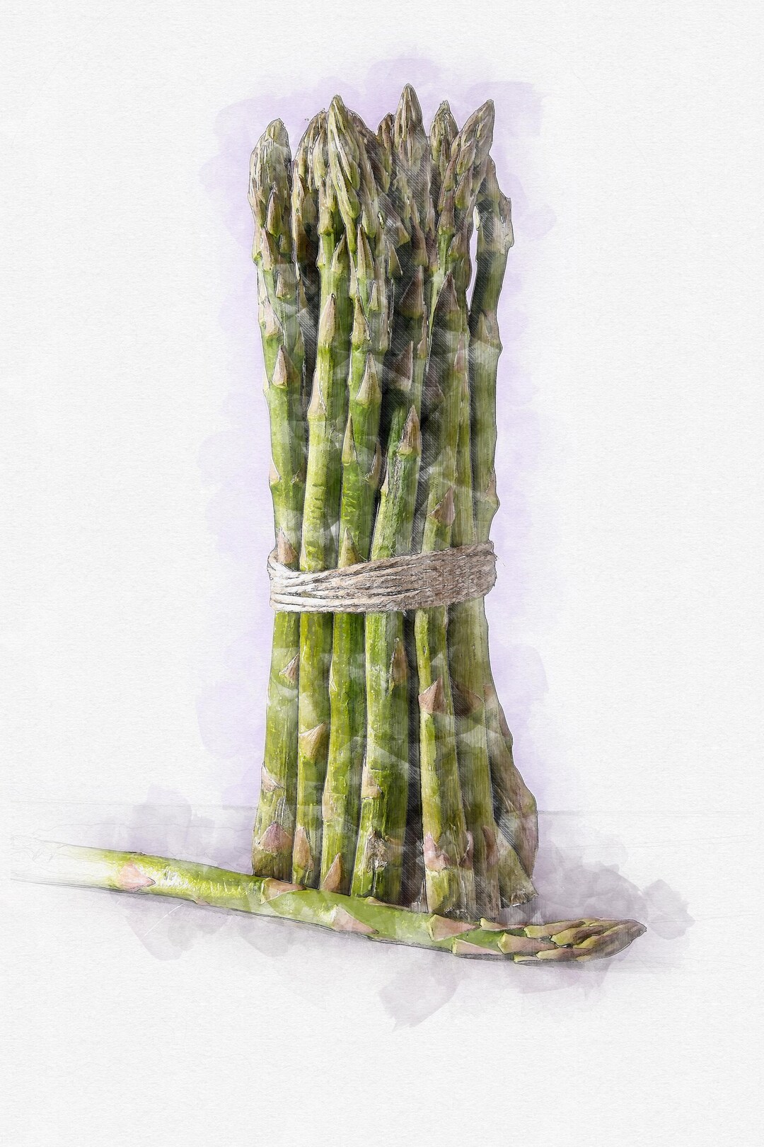 Asparagus Bundle | Wall Art | Photo | Digital Download | Kitchen ...