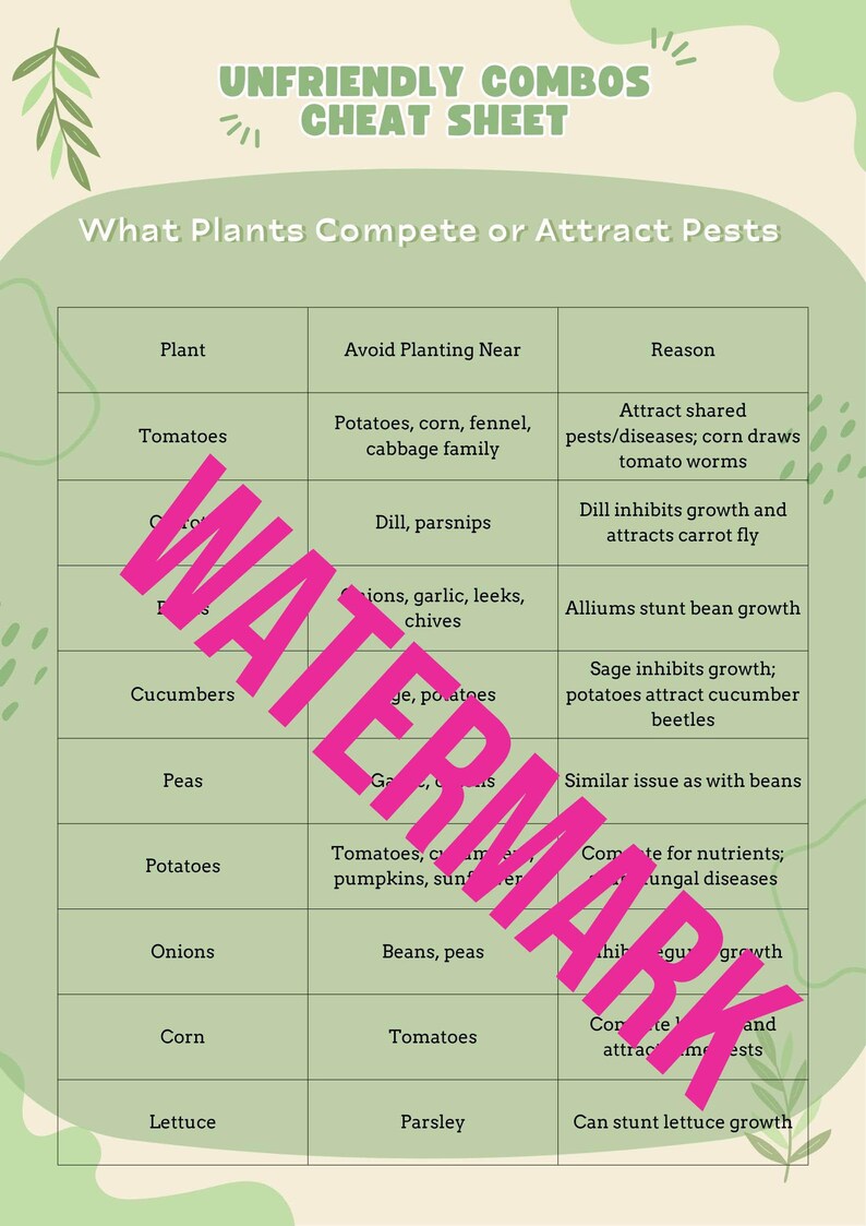 Companion Planting Cheat Sheet | Printable Gardening Guide for ...