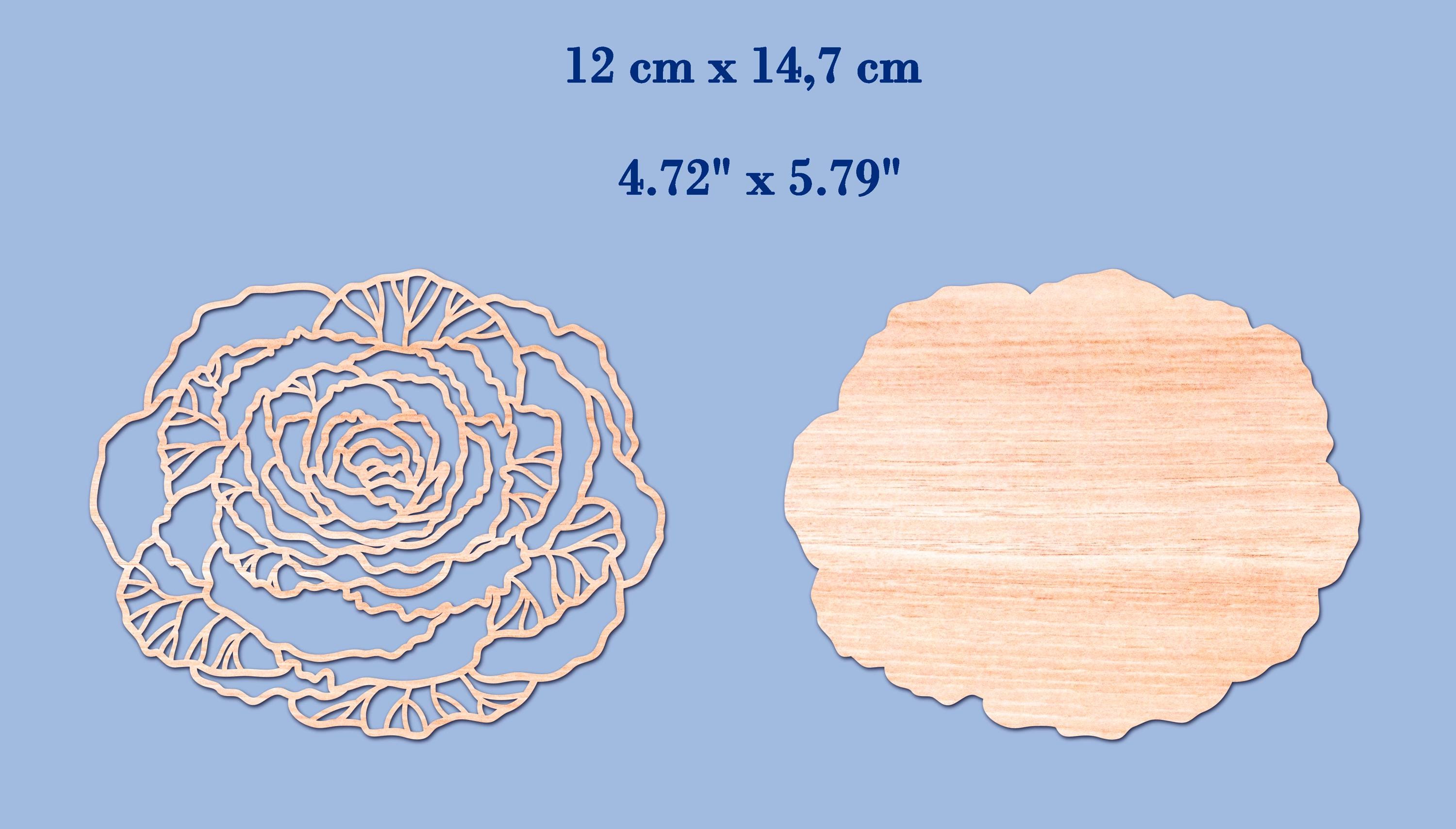 Cabbage Svg Vegetable Svg Plant Laser Cut Leaves Svg Laser Cut File ...