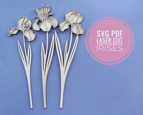 Iris Svg Laser Cut File Svg Flower Bundle Svg Cricut Svg - Etsy Australia