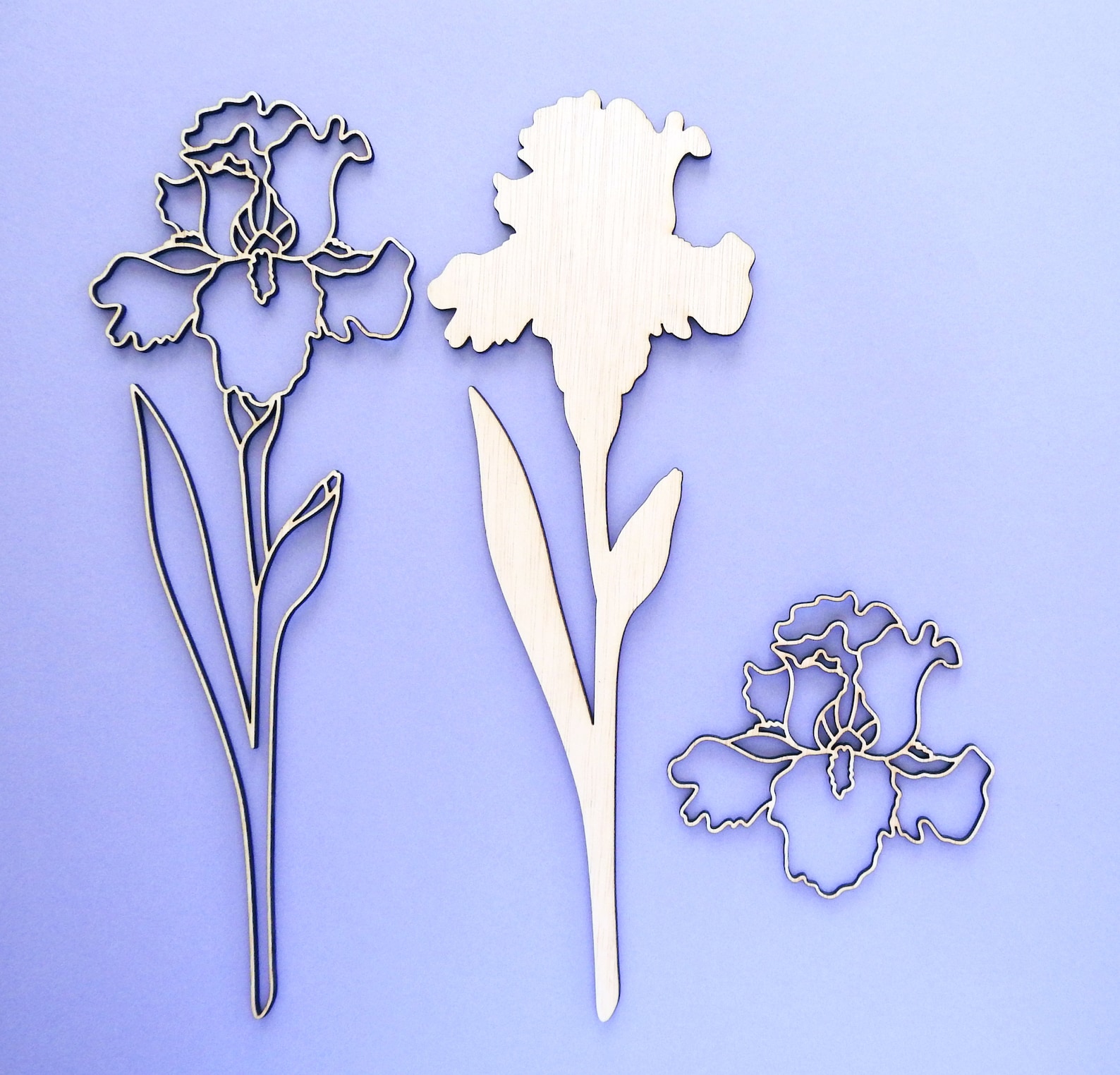 Iris svg, Archivo de corte láser svg, Paquete de flores svg, Cricut svg ...