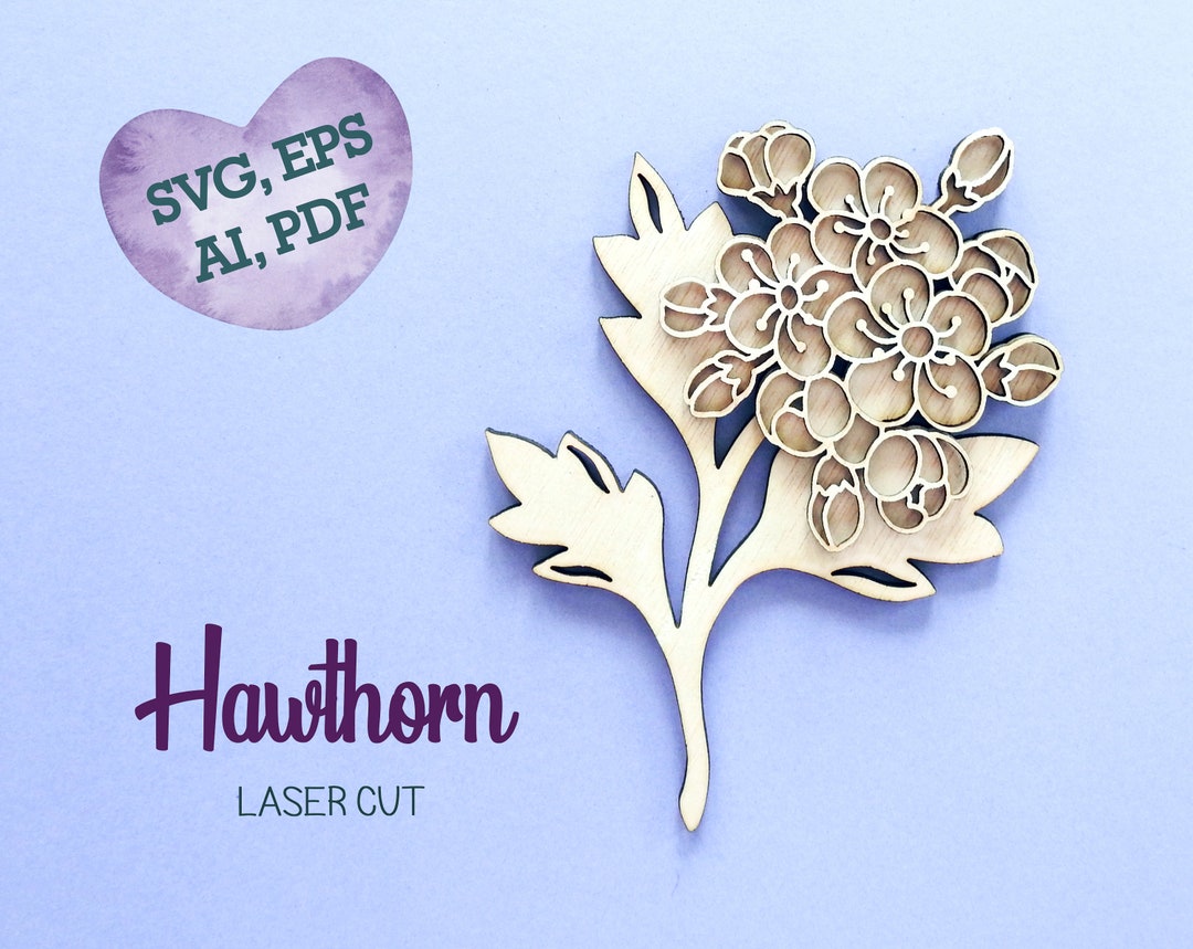Hawthorn Svg Wooden Flowers Wildflower Svg Laser Cut File Branches Svg ...