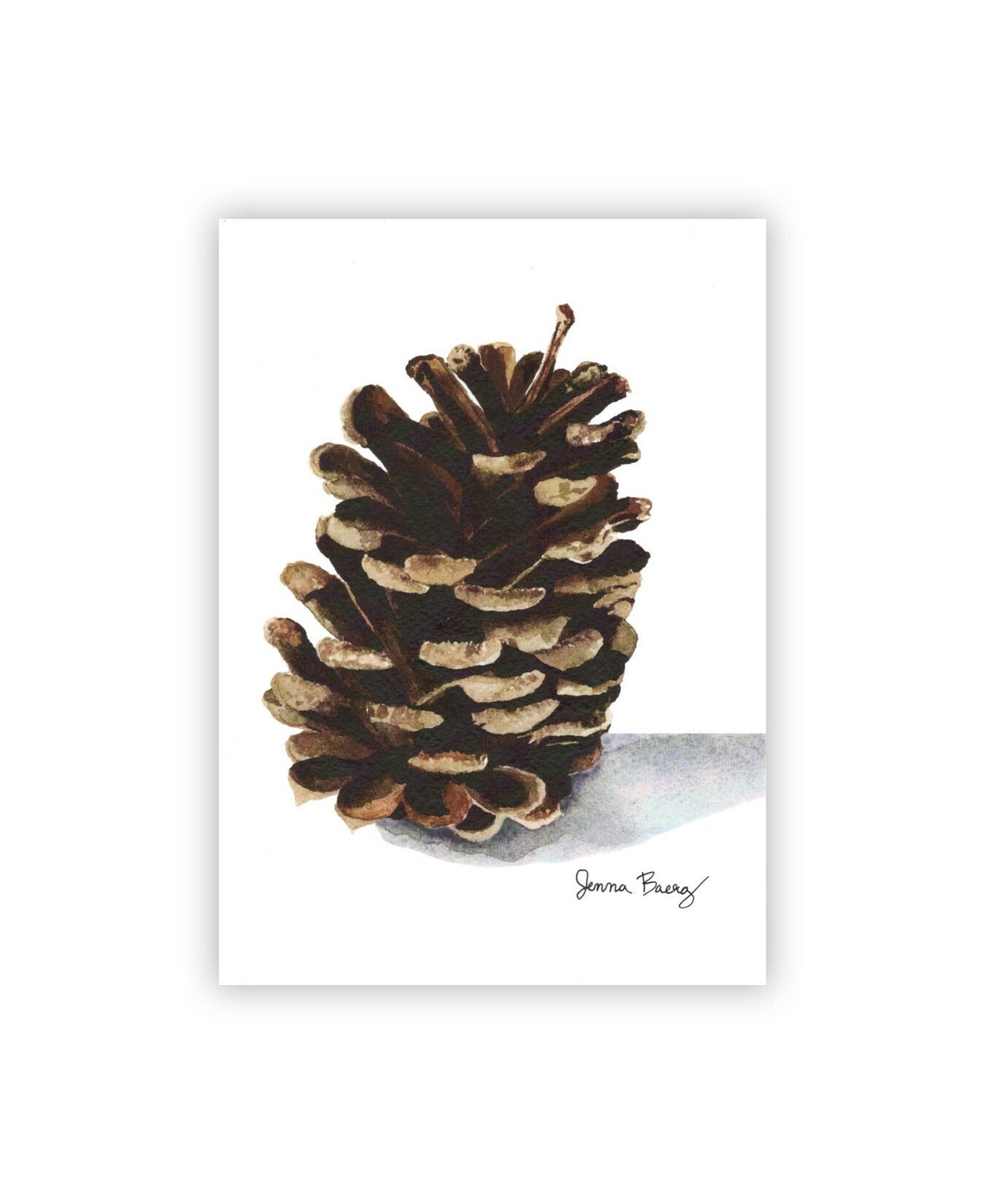 Scripture Inspired Nature Art, Pinecone Watercolor Art Print: Botanical ...