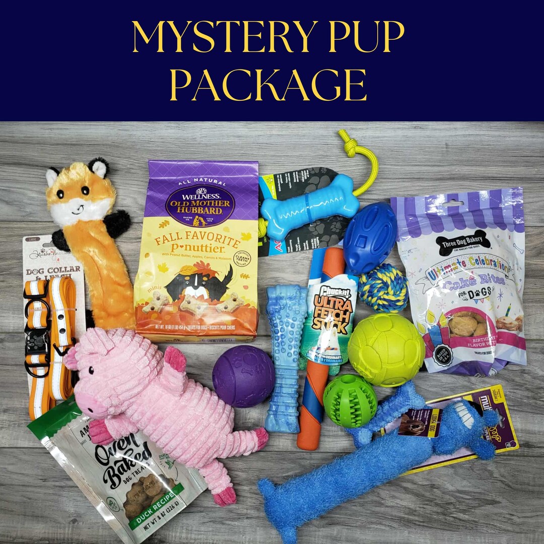 Custom Pup Package, Dog Puppy Toy Treat Mystery Gift Box, 5-piece ...