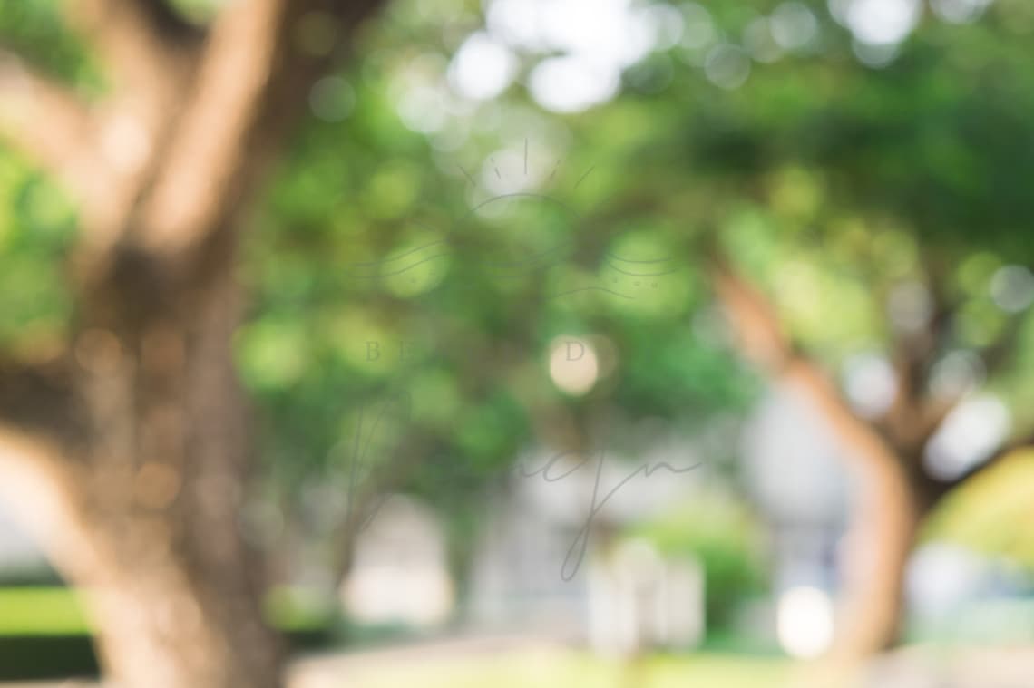 Blurred Landscape Background, 5 Different Images, Great for Headshots ...