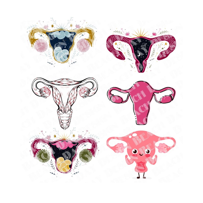 6 Colorful Uterus Svg Bundle | Printable Design | PNG Jpeg SVG PDF - Etsy