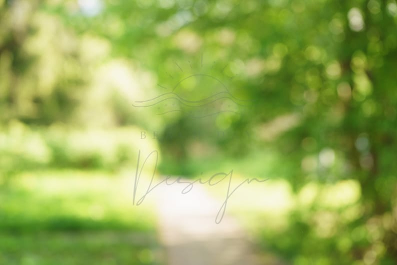 Blurred Landscape Background, 5 Different Images, Great for Headshots ...