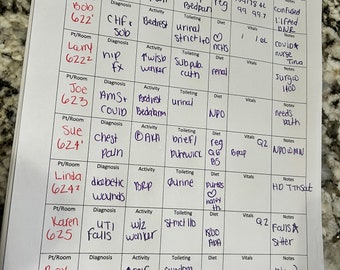 CNA Patient Task List/report Sheet for 6 Patients - Etsy
