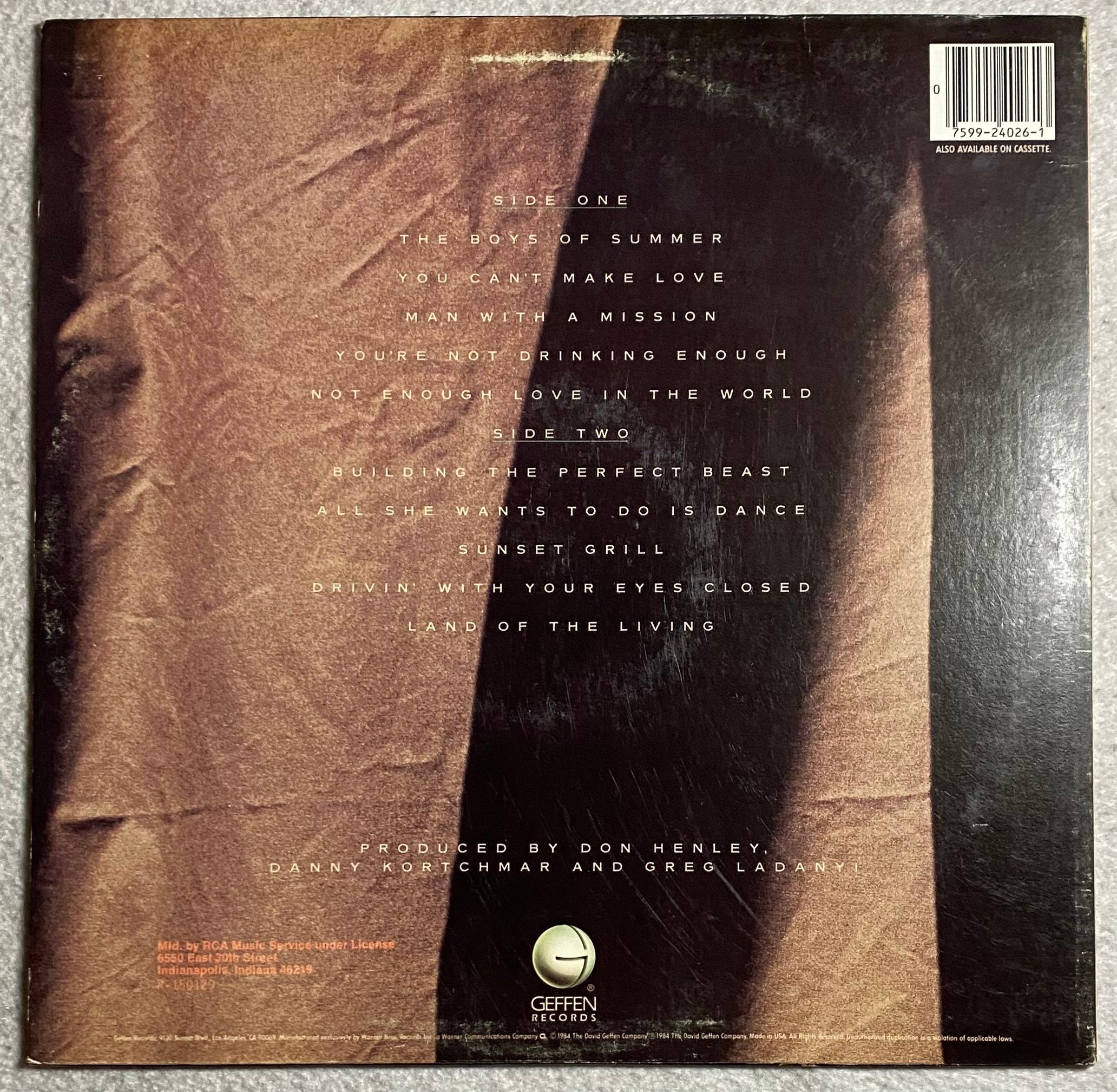 Don Henley / Building the Perfect Beast - Vinyl LP Record Album 1984 ...