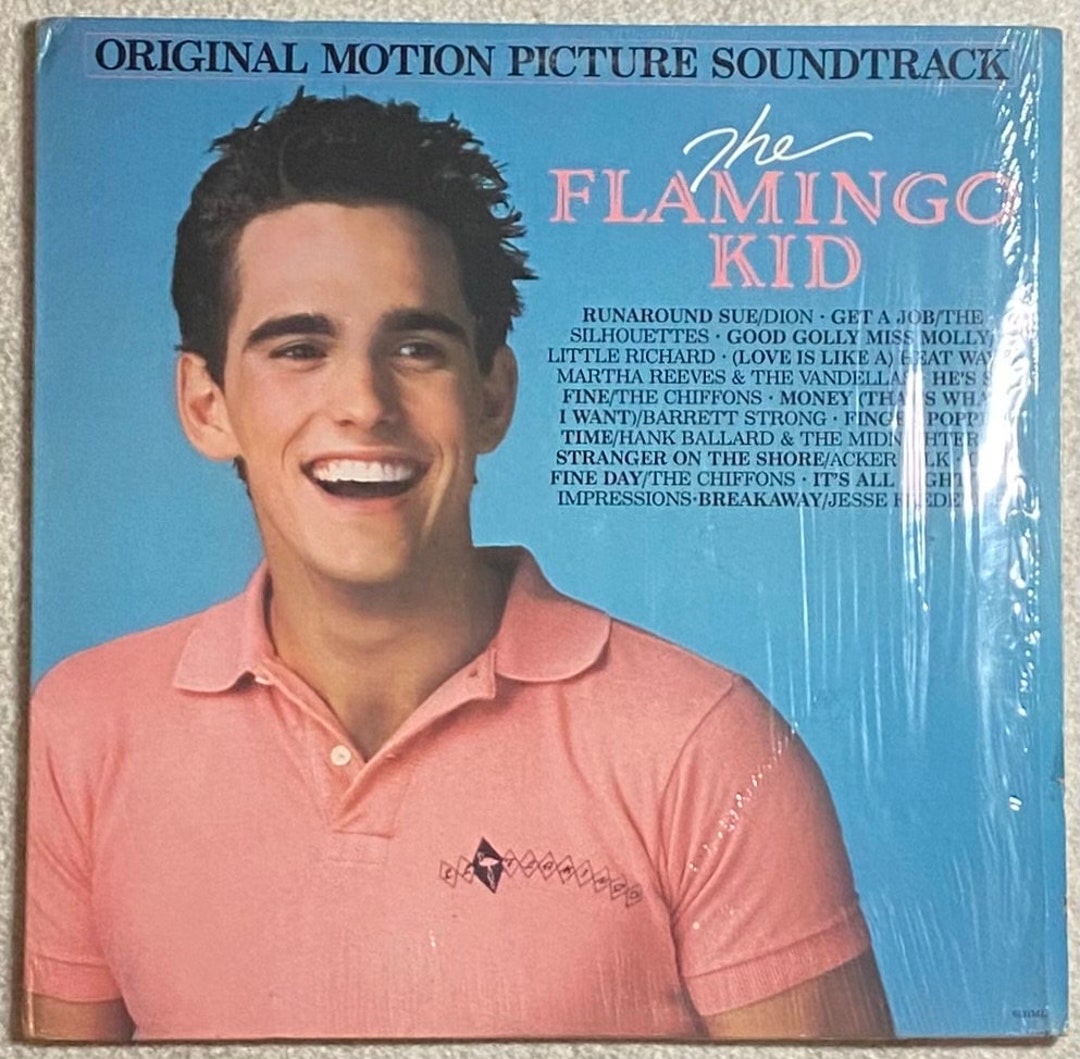 The Flamingo Kid / Soundtrack From the Motion Picture - Vinyl LP Record ...