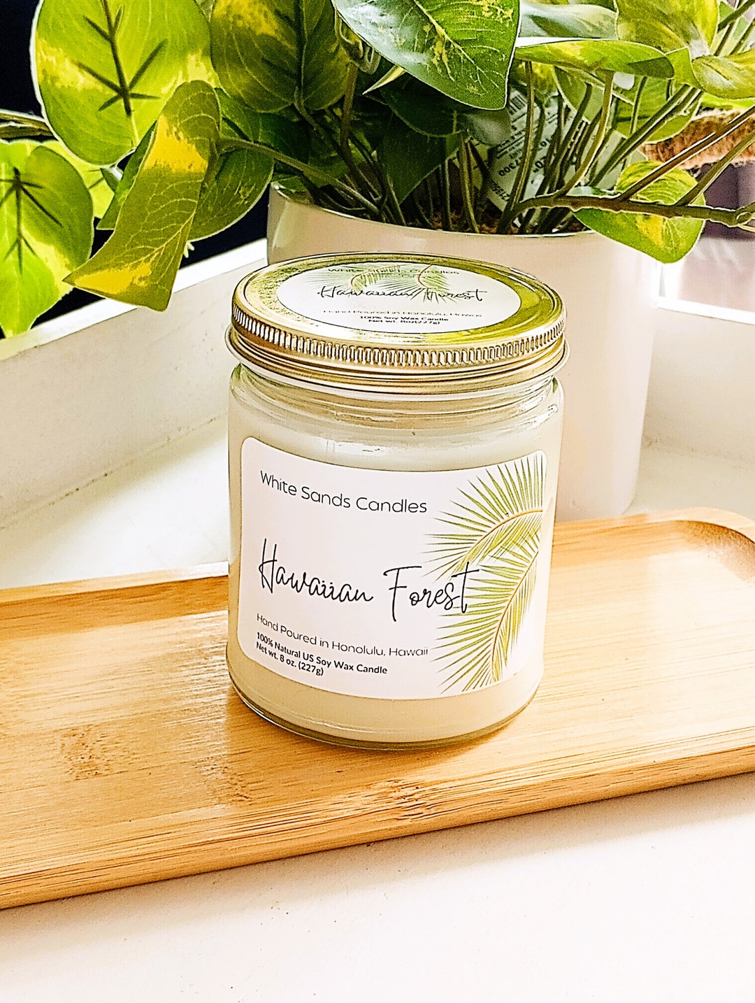 Hawaiian Forest Soy Candle I 100% Soy Wax Fresh Forest Scent Made in ...