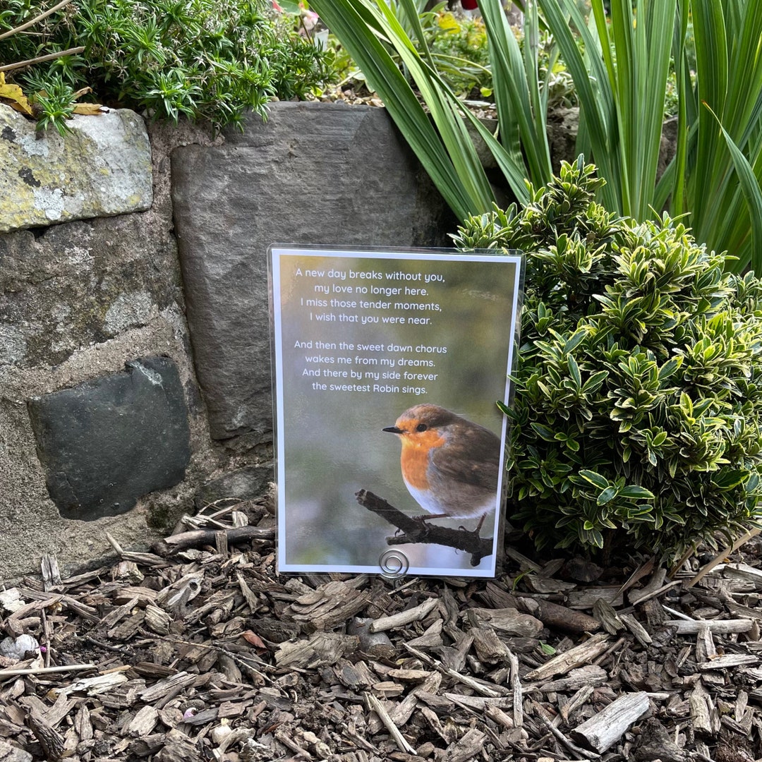 Robin Grave Card, Memorial Poem for Graveside Ornament, Robins Appear ...